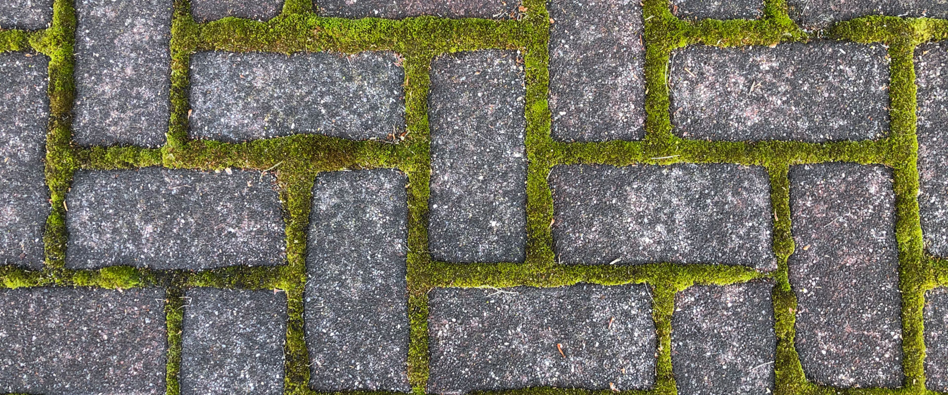 Resources - Talisman Development Services