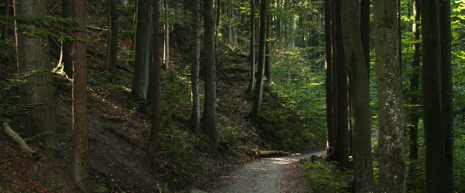 Contact - Talisman Development Services