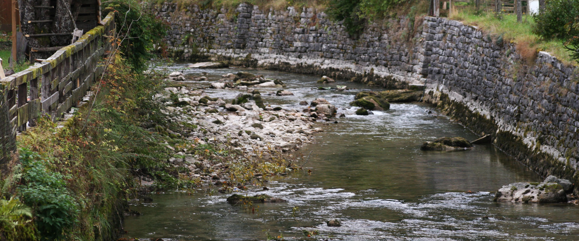 Consultation Services - Talisman Development Services